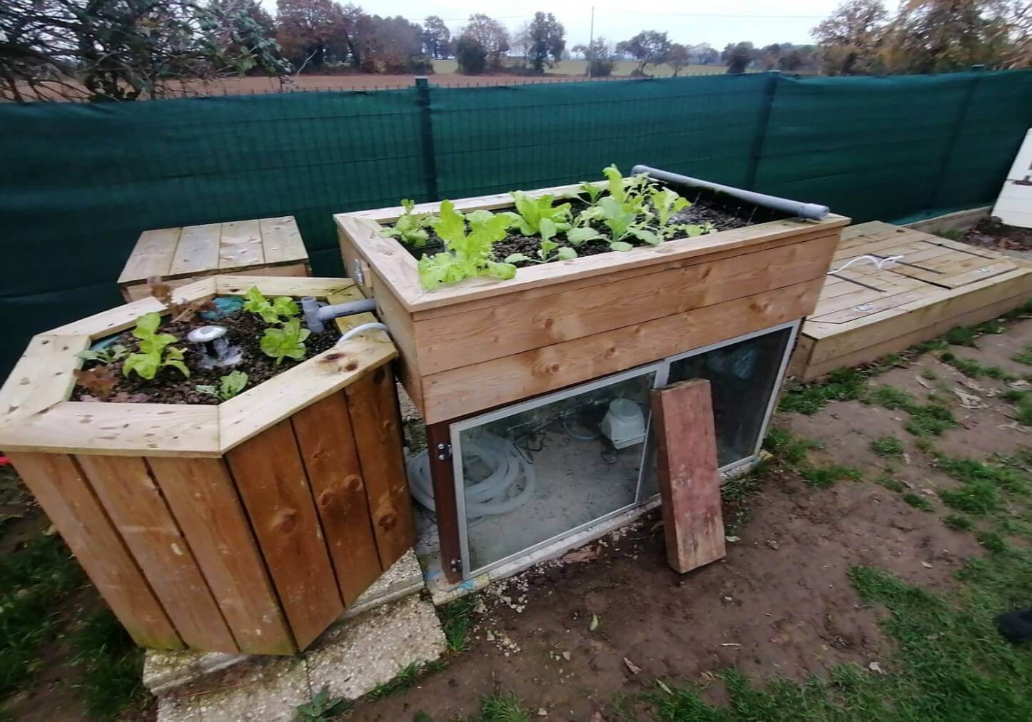 Découvrir l'aquaponie à la maison avec Naturaponie